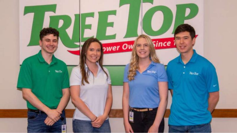 Careers | Tree Top