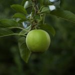 Our Facilities | Tree Top